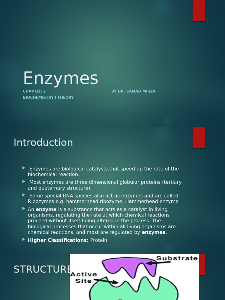 Enzymes Ppt | PDF | Cofactor (Biochemistry) | Enzyme Inhibitor