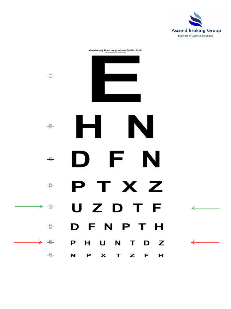 Snellen Eyesight Chart | PDF
