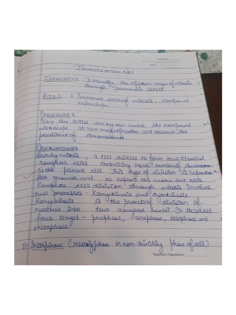 Biology Practicals Class 10 (10) | PDF