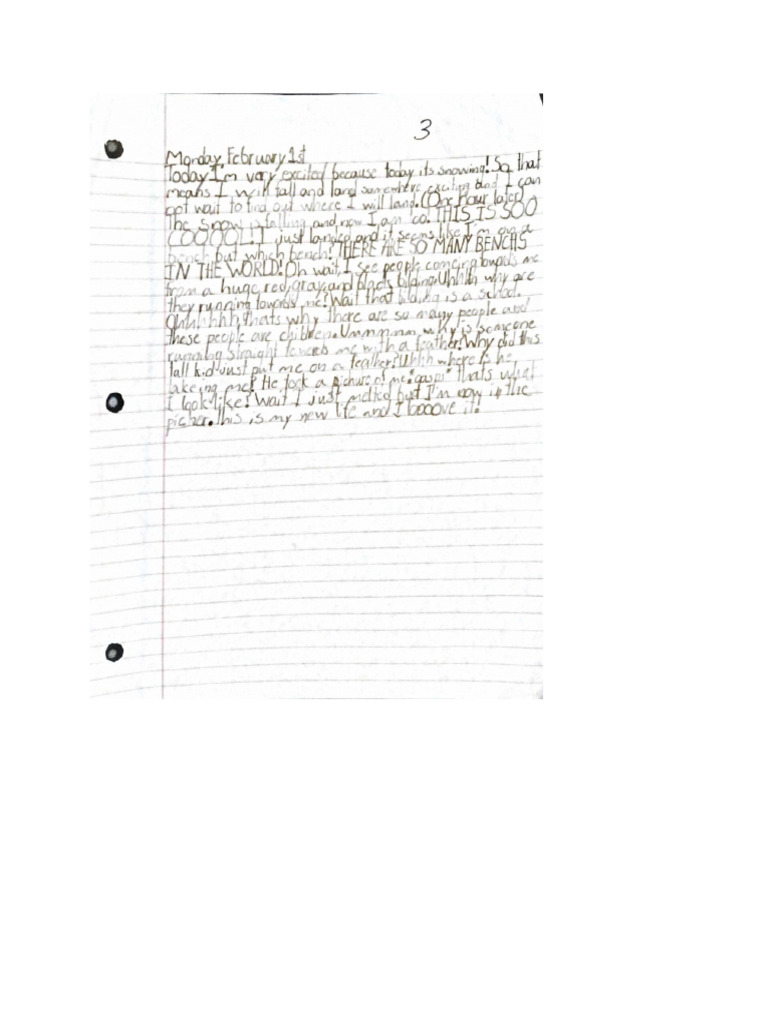 How To Take A Screen | PDF