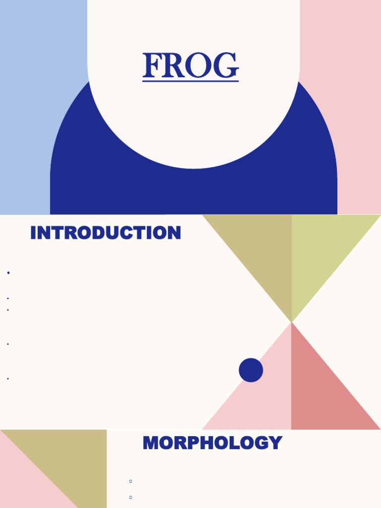 Frog copy | PDF | Human Digestive System | Heart