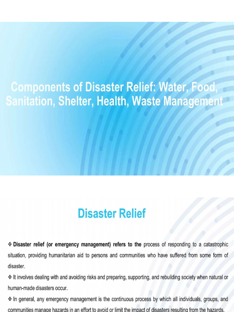 Components, Role of GIS and IT and DDA | PDF