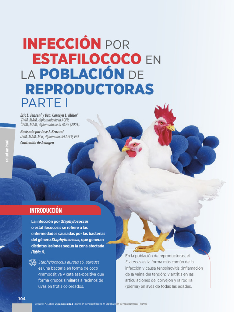 Aviagen Infeccion Por Estafilococo | PDF | Tracto gastrointestinal ...