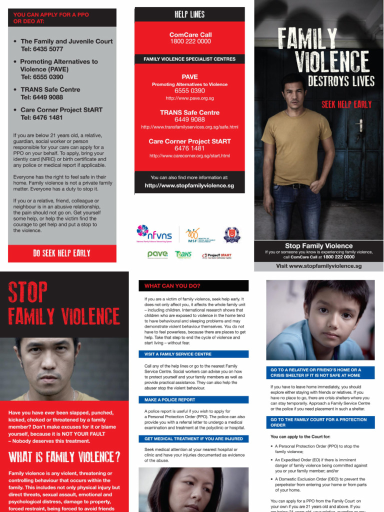 Family Violence Brochure 27 November | PDF