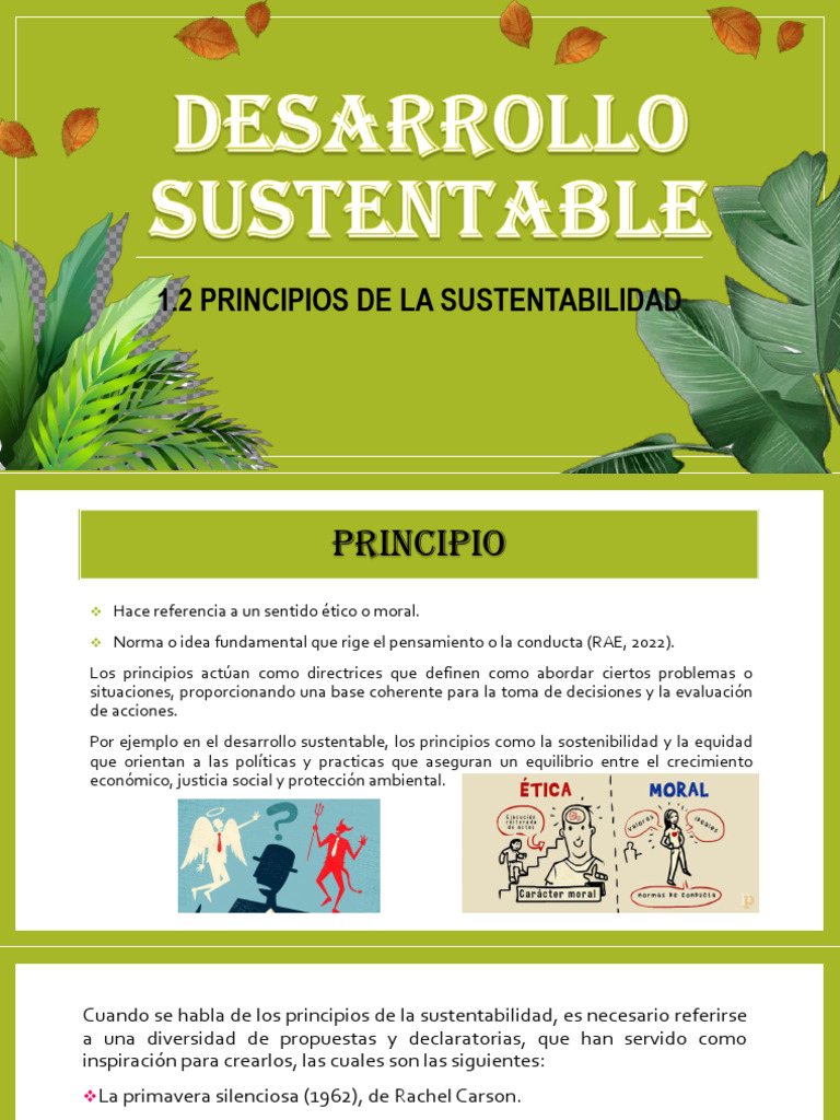 Unidad 1. Tema 1.2 Principios de La Sustentabilidad | PDF | Sustentabilidad | Desarrollo sostenible