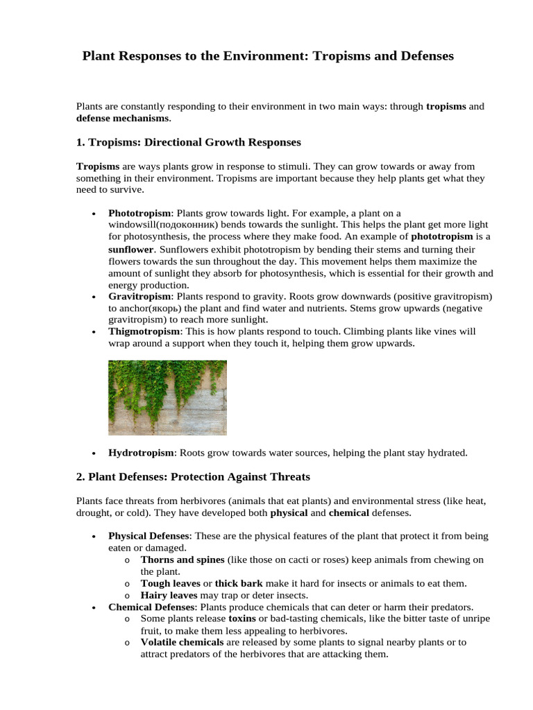 Plant Responses to the Environment | PDF | Plants | Root