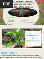 Biofertilizer Presentation | PDF