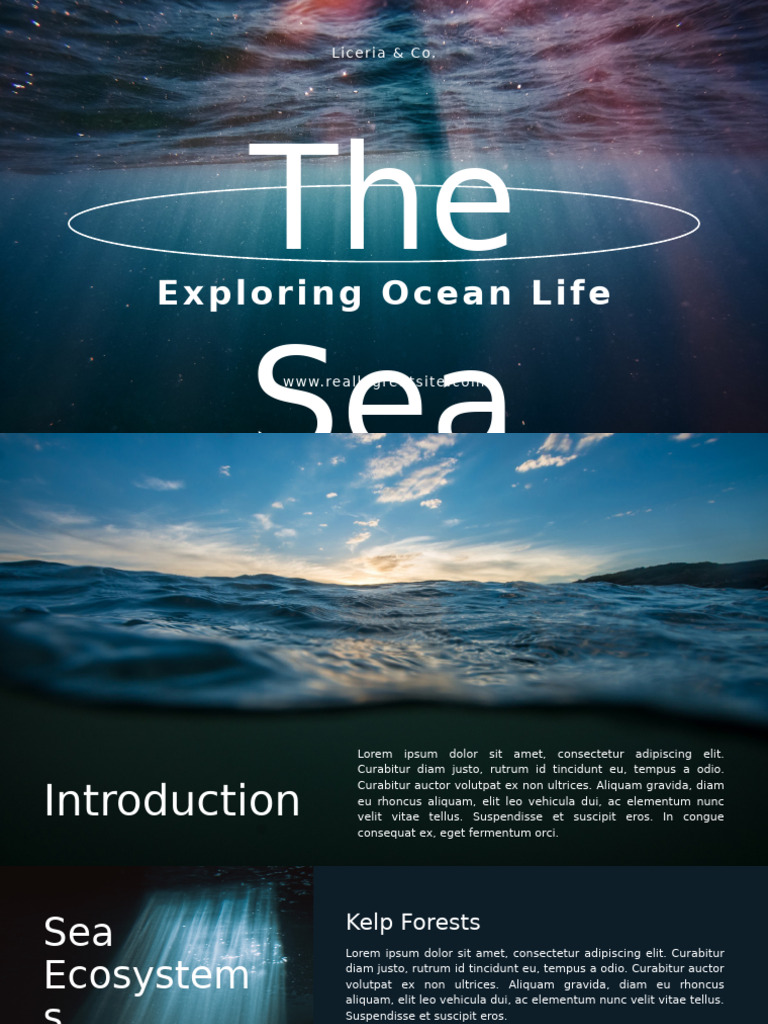 Dark Blue and White Modern The Sea Presentation | PDF