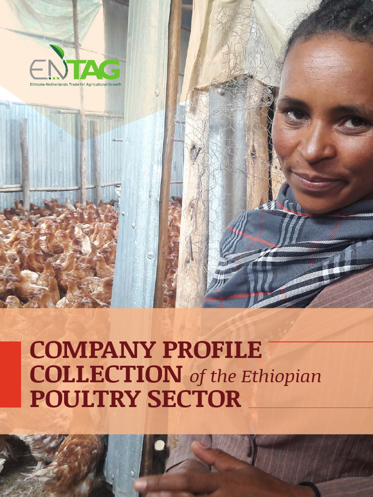 Ethiopian Poultry Farms Overview | PDF | Chicken | Farms