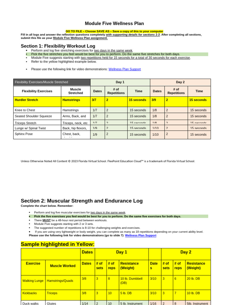 Module Five Wellness Plan | PDF | Substance Abuse