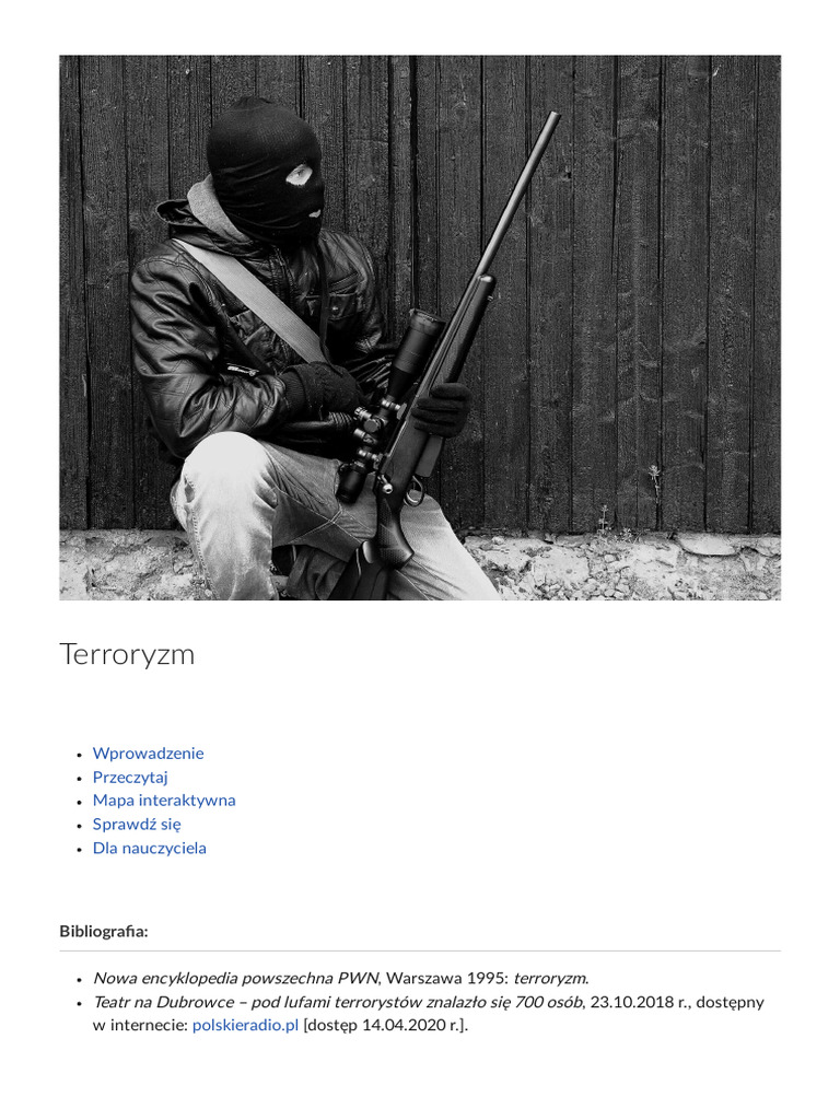 Terroryzm | PDF