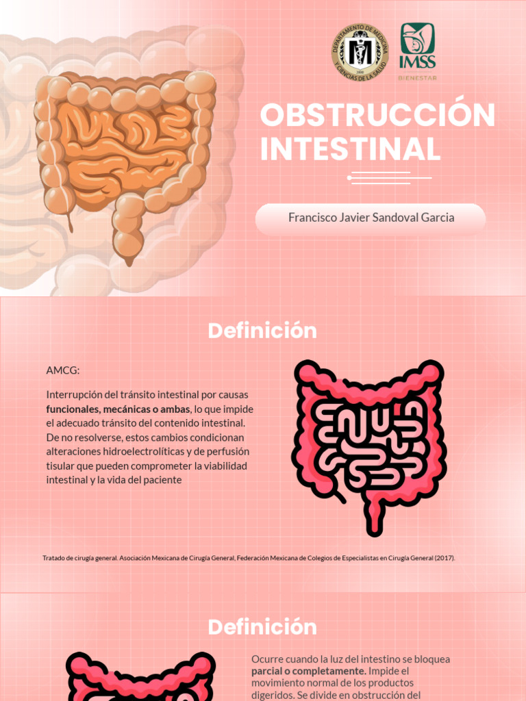 Obstrucción Intestinal | PDF | Medicina CLINICA | Enfermedades y trastornos