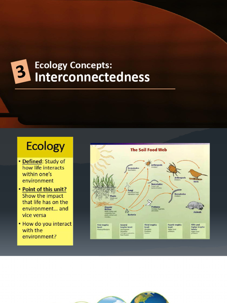 Module 03 Ecology Concepts Interconnectedness | PDF