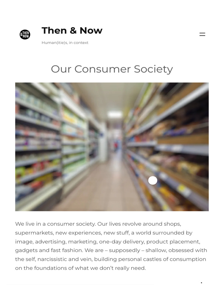 Understanding Our Consumer Society | PDF