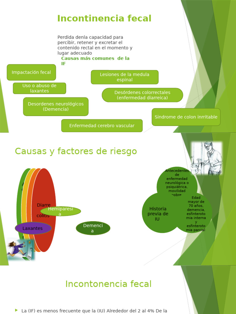 Incontinencia Fecal (1) | PDF | Heces | Medicina CLINICA