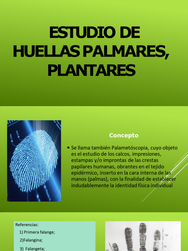 Tema 8 - Estudio de Huellas Palmares y Plantares | PDF