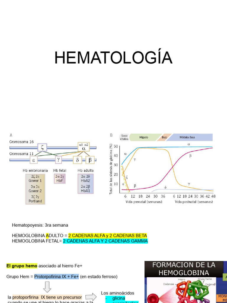 Repaso SCB | PDF | Coagulación | Especialidades Medicas