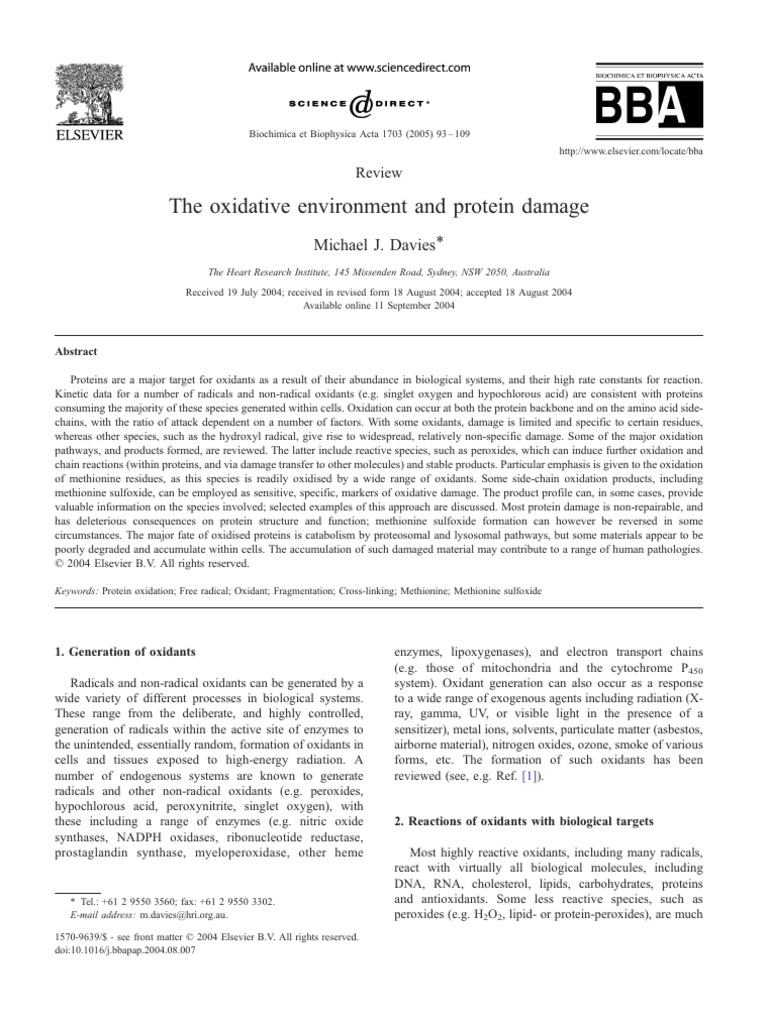 Protein Oxidation and Damage Pathways | PDF | Radical (Chemistry ...