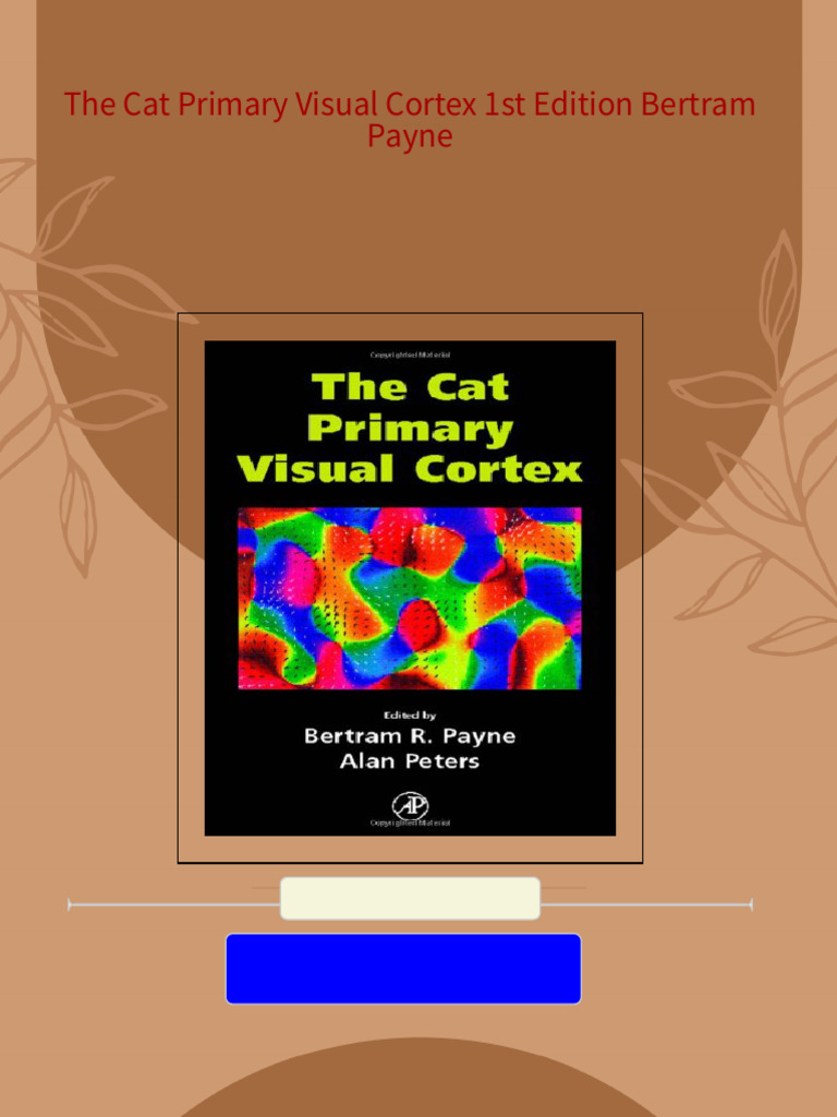 79024 | PDF | Visual Cortex | Cerebral Cortex