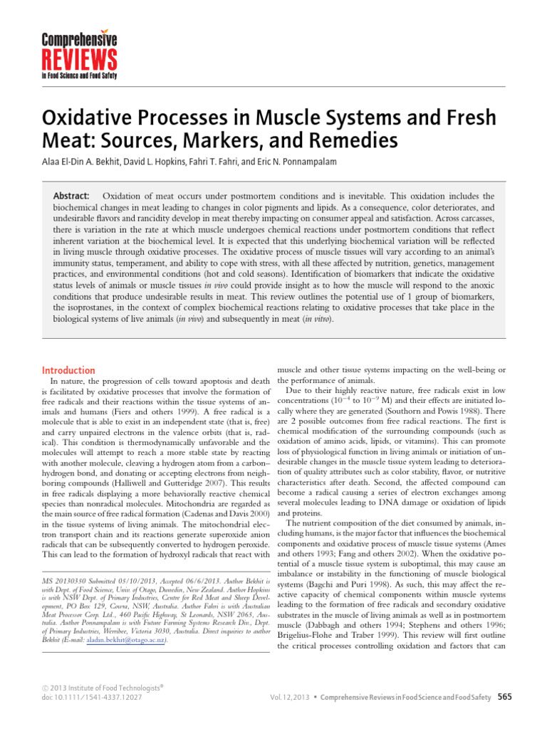 Oxidative Processes in Muscle Systems and Fresh | PDF | Mitochondrion ...