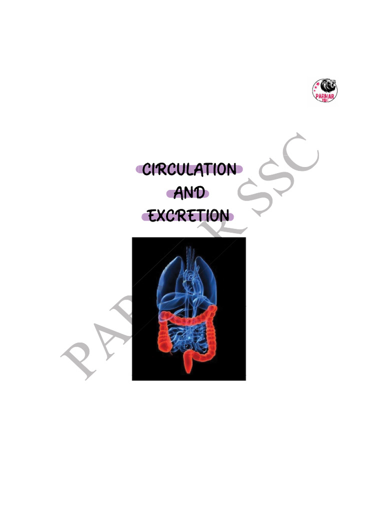 Circulatory & Excretory System (PDF) | PDF