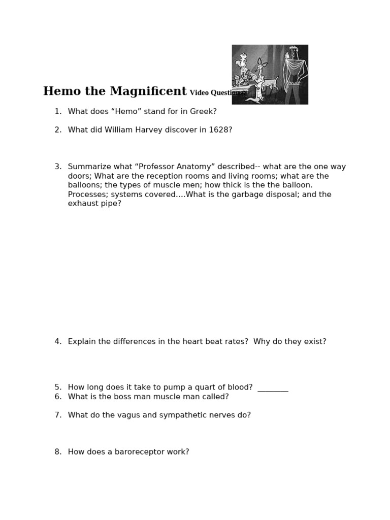 Hemo The Magnificent Video Questions | PDF