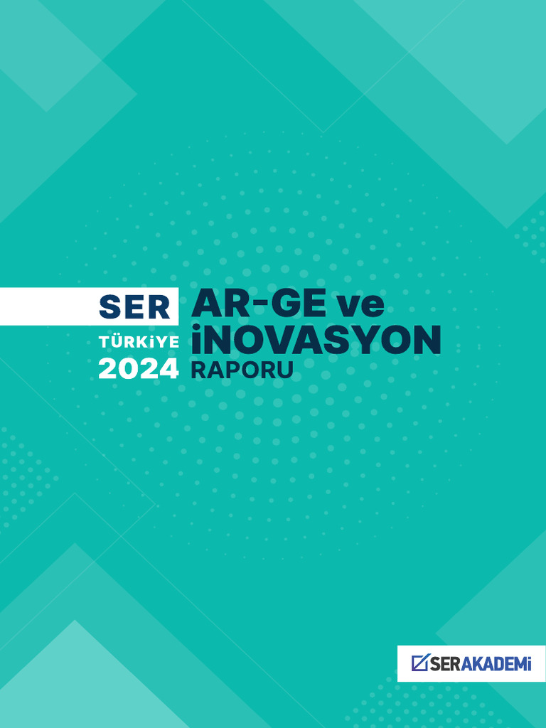 SER_2024_Ar_Ge_ve_novasyon_Raporu_1735284819 | PDF