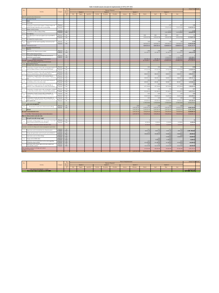 CIP Action Plan (table-13) | PDF | Economies
