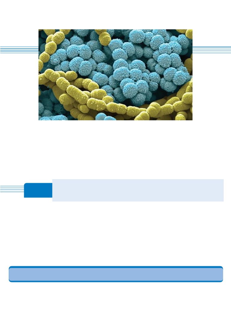 Hyperbolic Function (1) | PDF | Trigonometric Functions | Mathematical ... Hyperbolic Function (1) | PDF | Trigonometric Functions | Mathematical ...