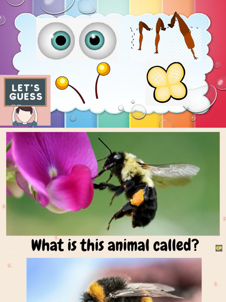 Bumble Bee Poem | PDF