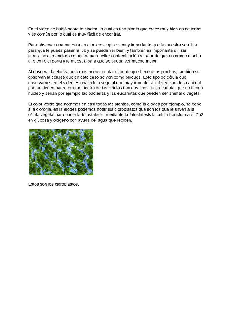 Trabajo de Hanna | PDF