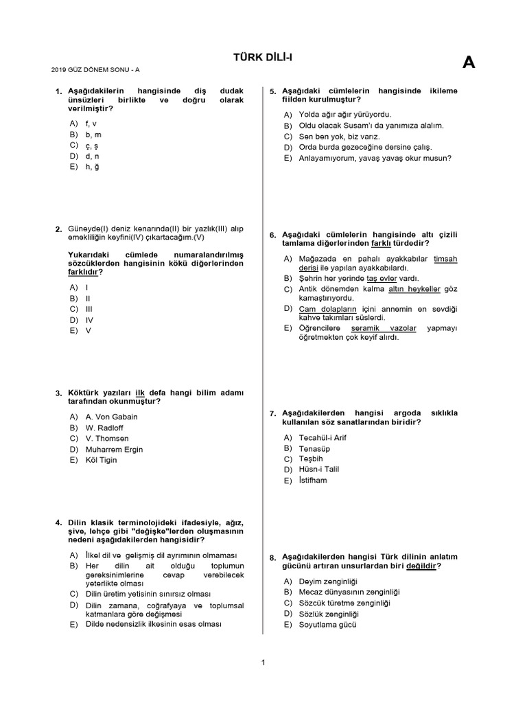 Anadolu Aof Turk Dili 1 Final Cikmis Sorulari | PDF