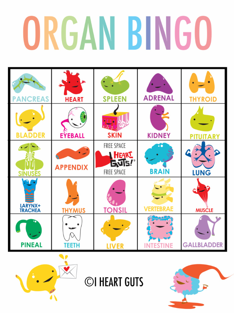 Human Body Organ Bingo | PDF