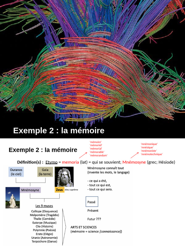 1_Intro_Ã _la_Psychobio_part3 | PDF | Mémoire | Neurone