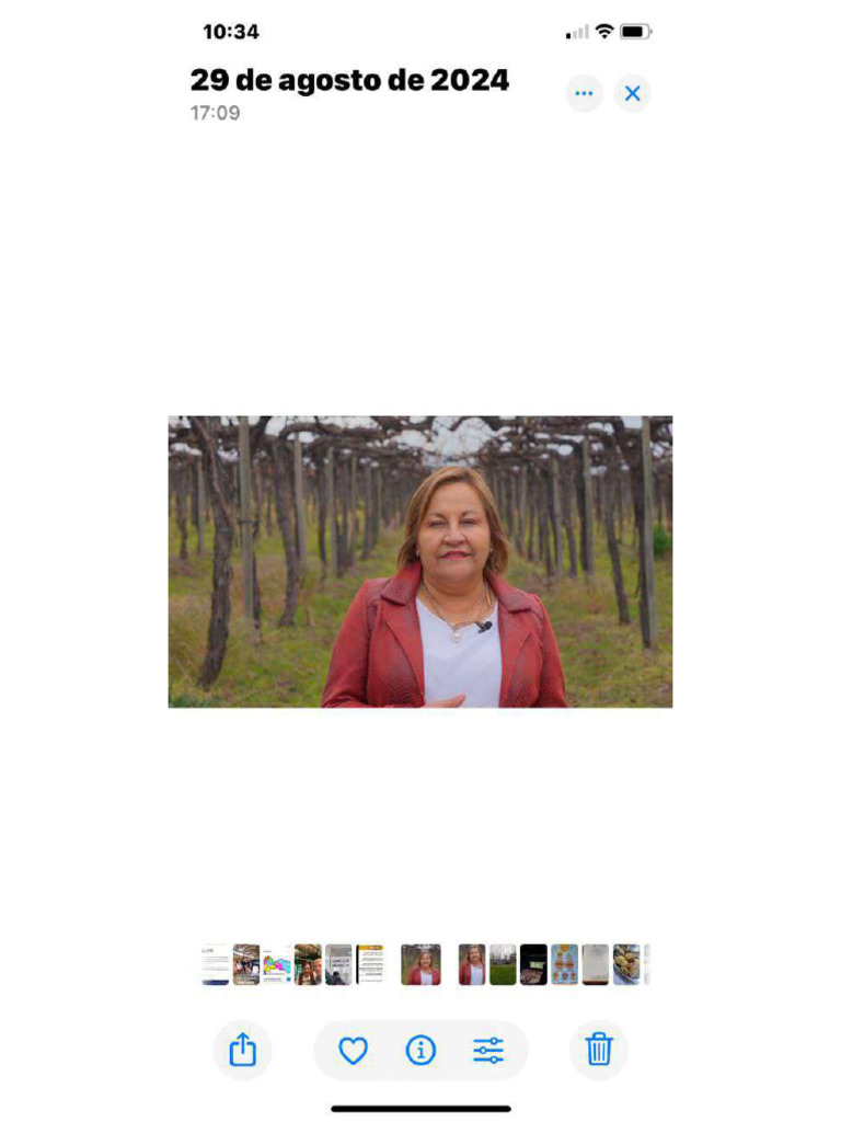 Registro Visual | PDF