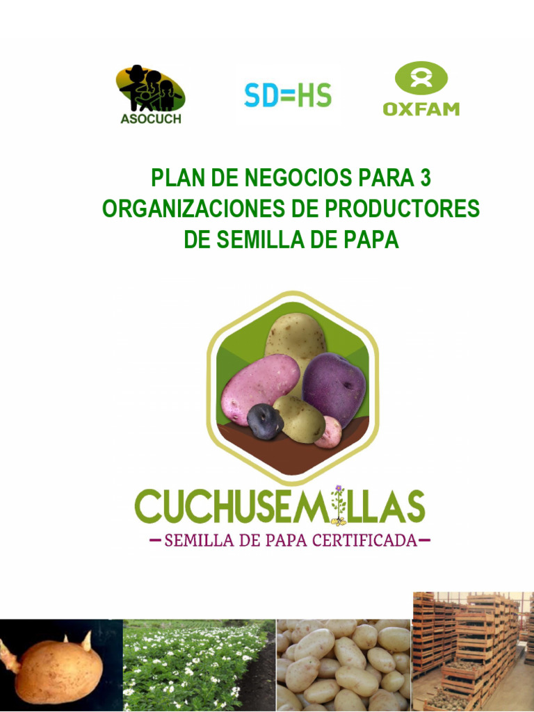 Plan de Negocios para 3 Organizaciones de Semilla de Papa PDF | PDF | Patata | Agricultura