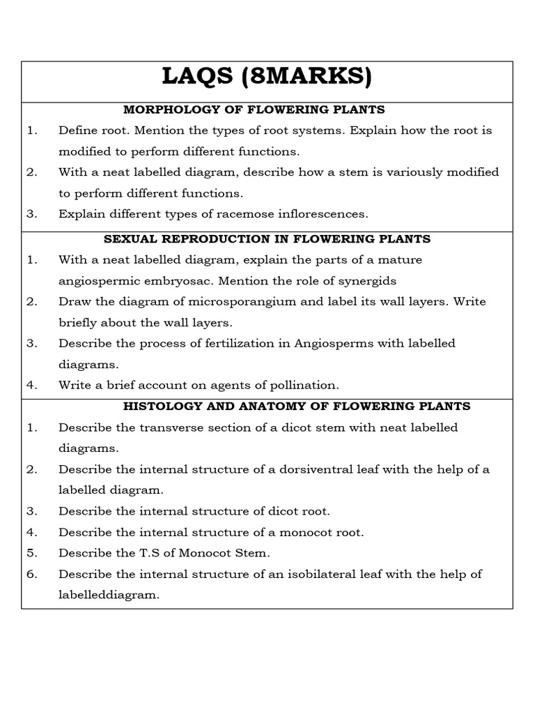 Laqs (8marks) : Morphology of Flowering Plants | PDF
