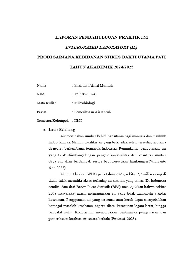 Shafrina I'datul Mufidah LP Pemeriksaan Air Keruh | PDF