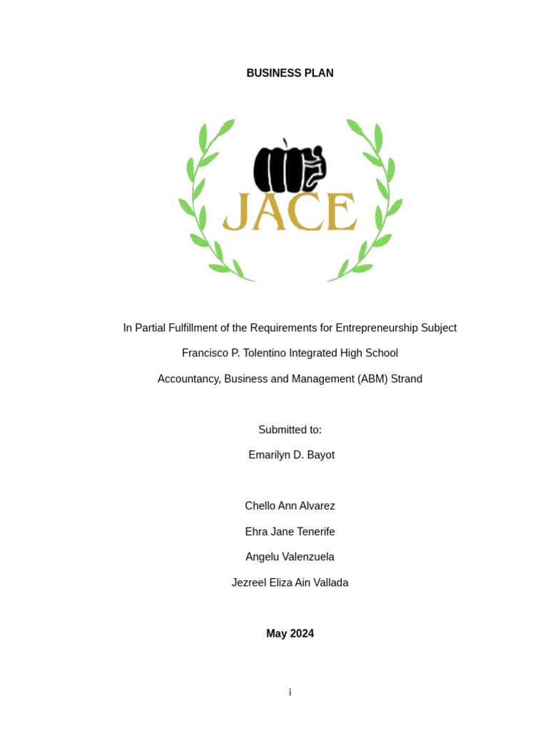 JACE Company Business Plan Overview | PDF | Debits And Credits | Marketing