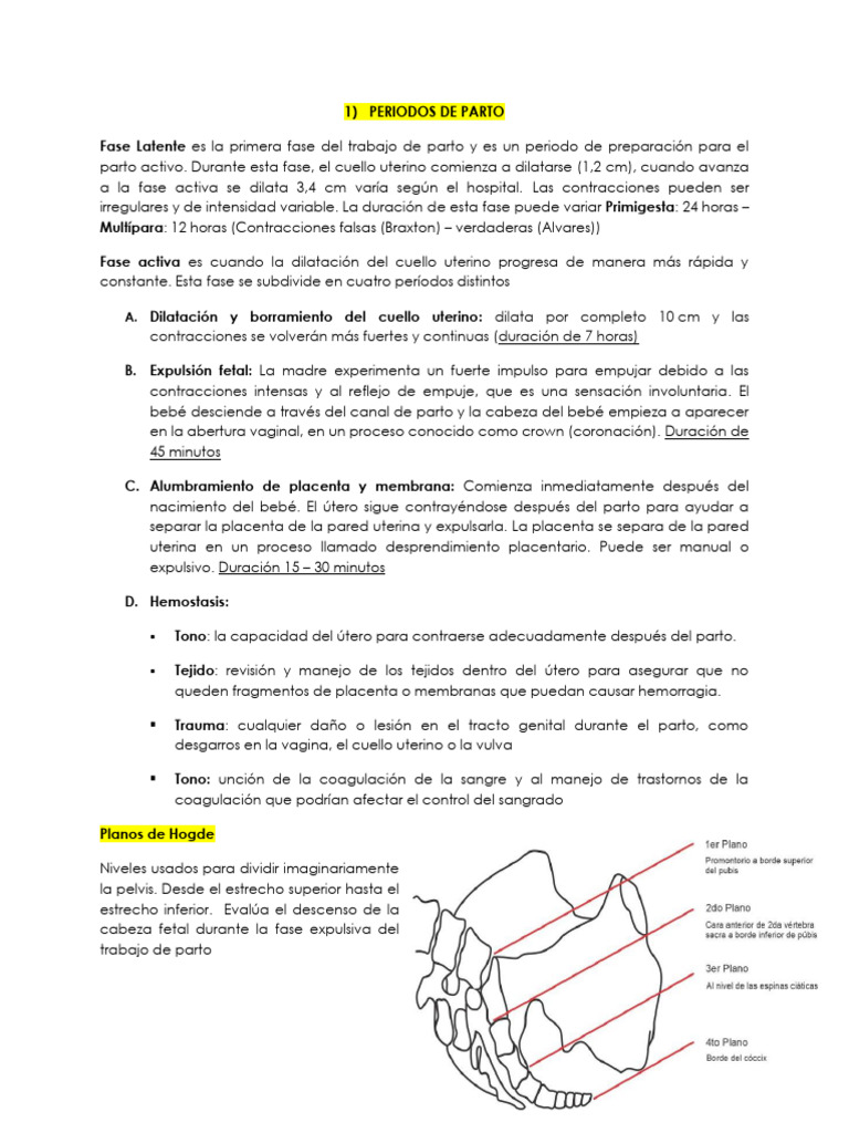 Parte Dos Parcial | PDF | El embarazo | Parto