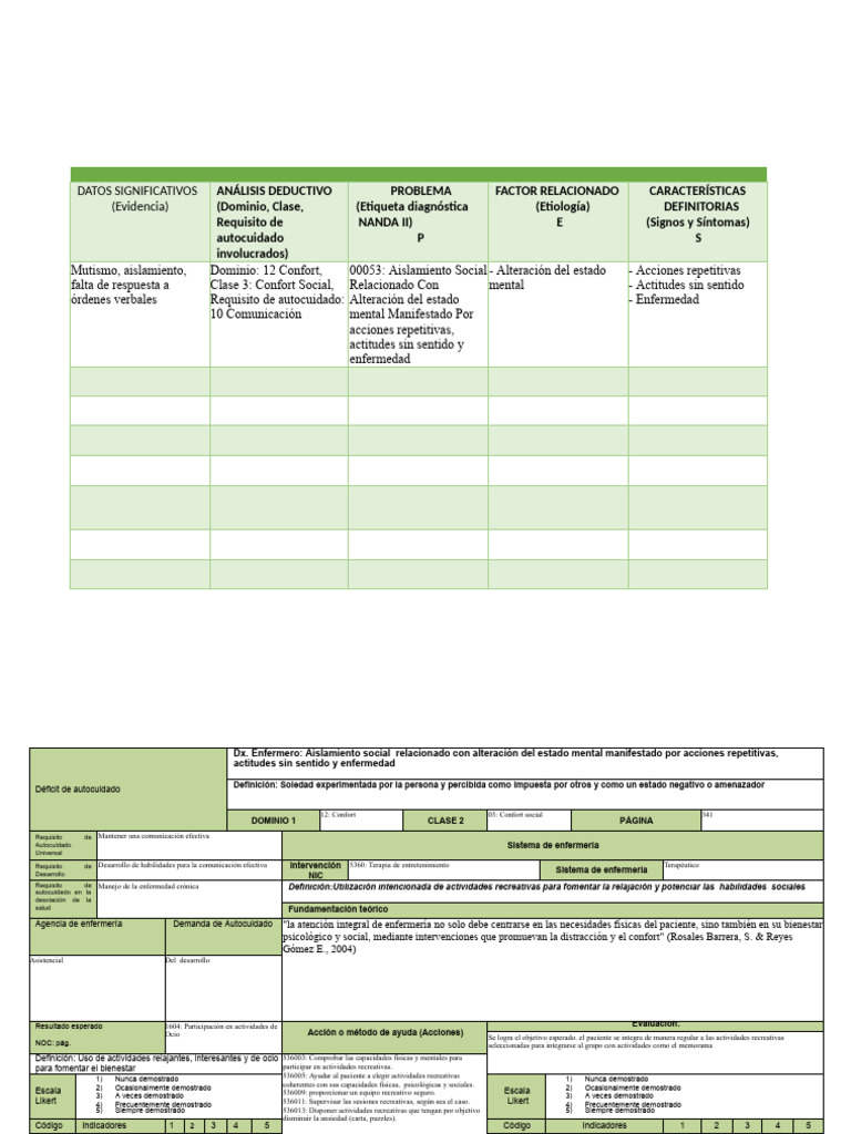 Formato Nanda Nic Noc Integrados-1 | PDF | Enfermería | Salud mental