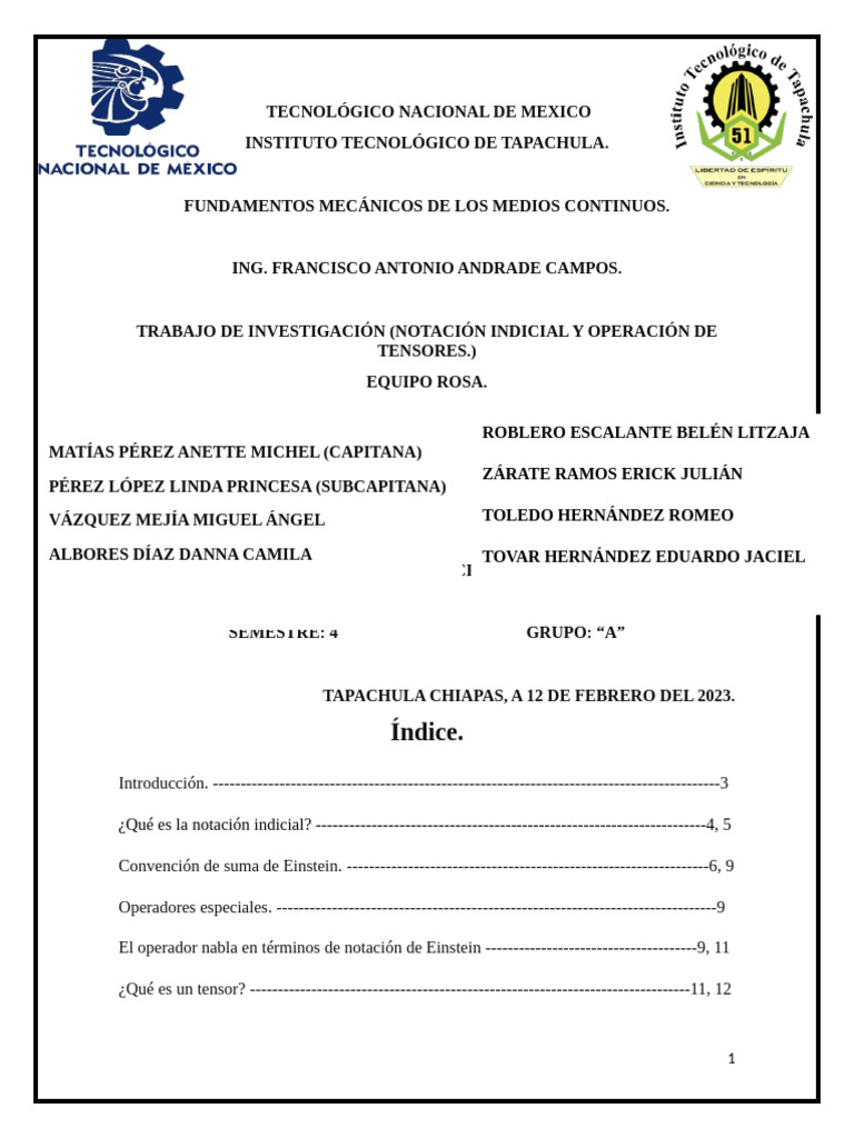 Notación Indicial y Tensores | PDF | Tensor | Vector Euclidiano