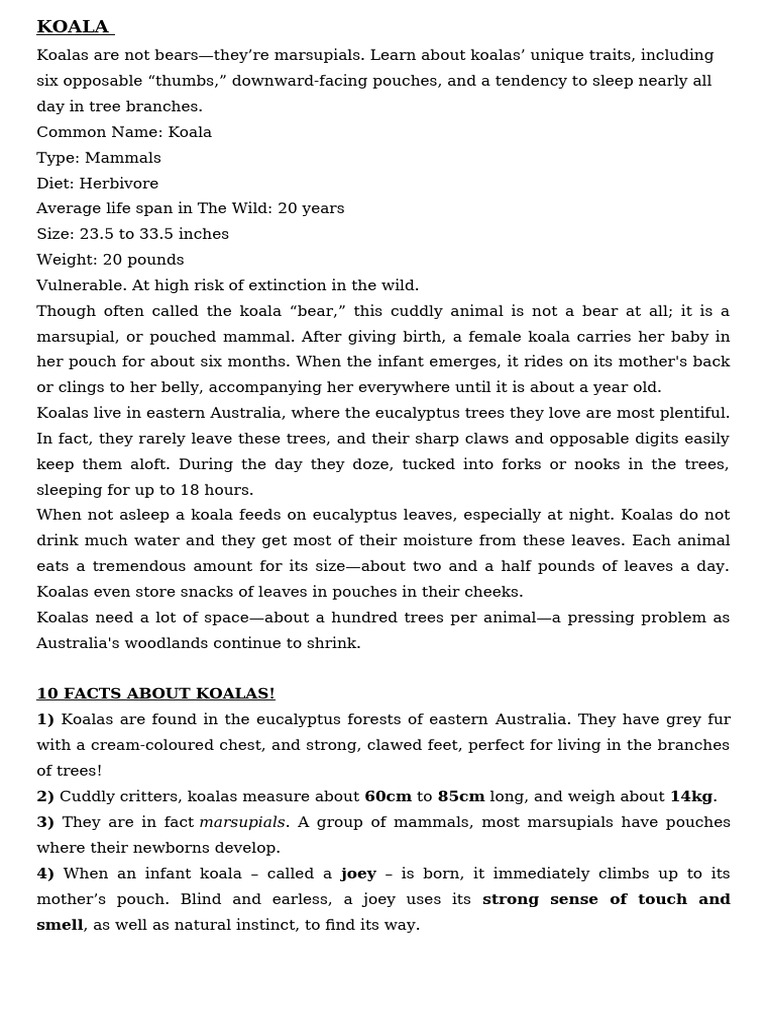 animals 2 | PDF | Koala | Komodo Dragon