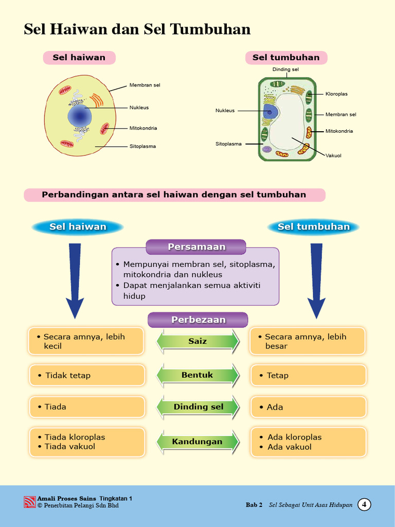 Carta Mengajar BM-Bab 2 | PDF