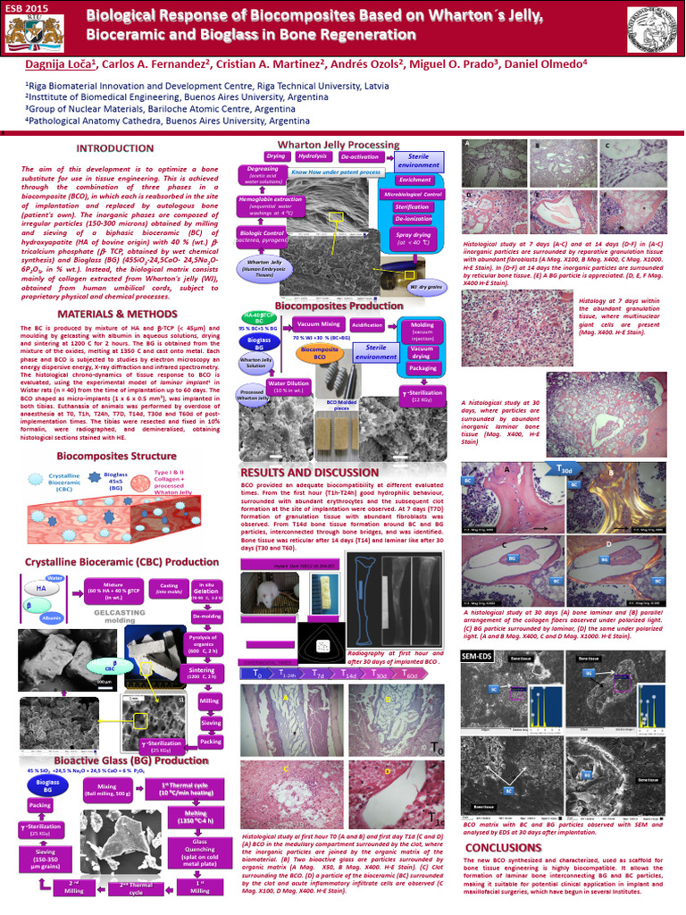 Biocomposite for Bone Tissue Engineering | PDF | Bioceramic | Materials