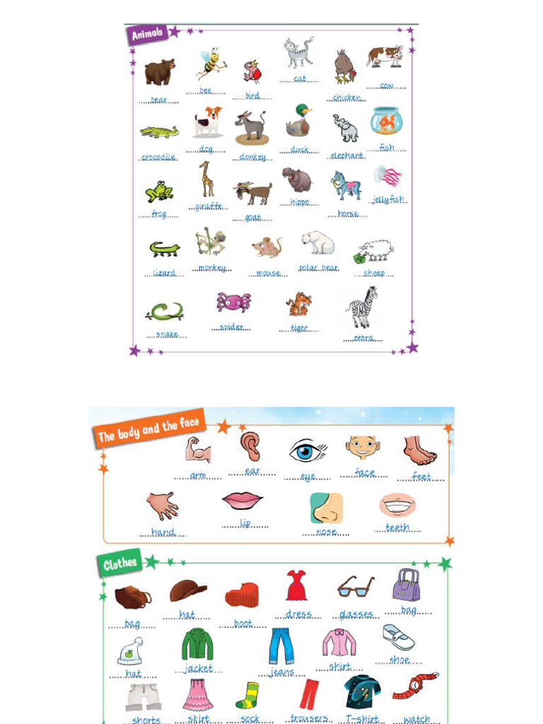 Picture Dictionary STARTERS Key | PDF