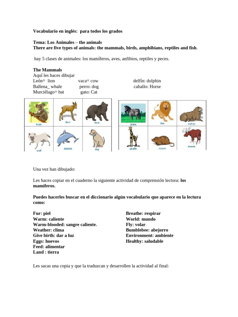 Vocabulario en inglés | PDF | Reptil | Mamíferos