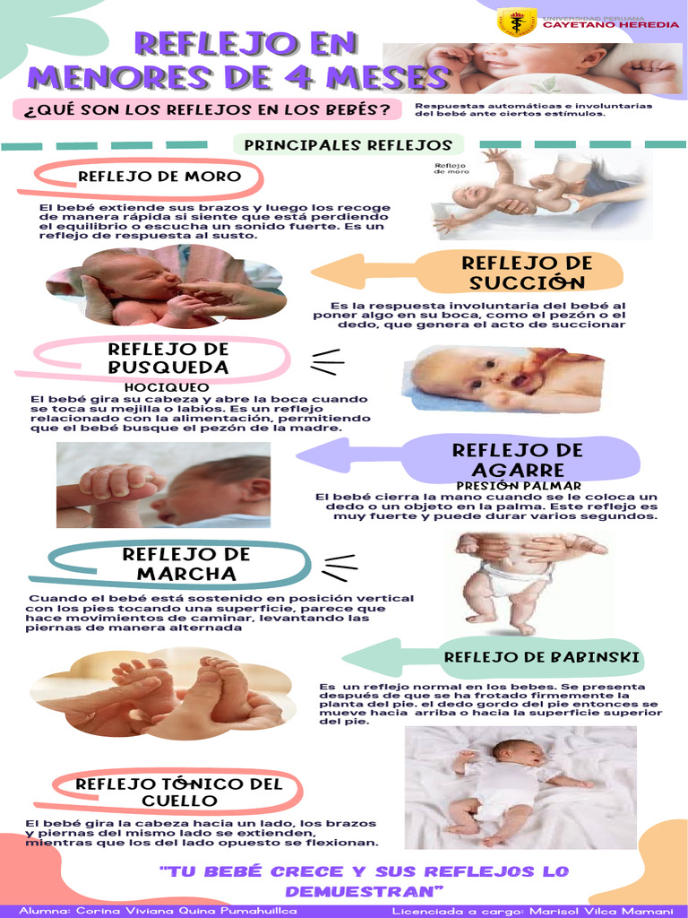 REFLEJO | PDF | Reflejos