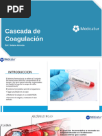 2 Cascada de Coagulación | PDF | Coagulación | Proteínas