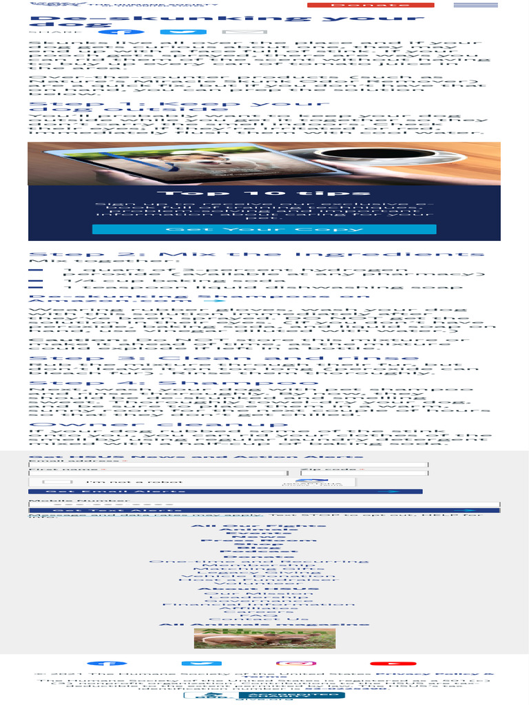 De-Skunking Your Dog The Humane Society of The United States | PDF | Odor